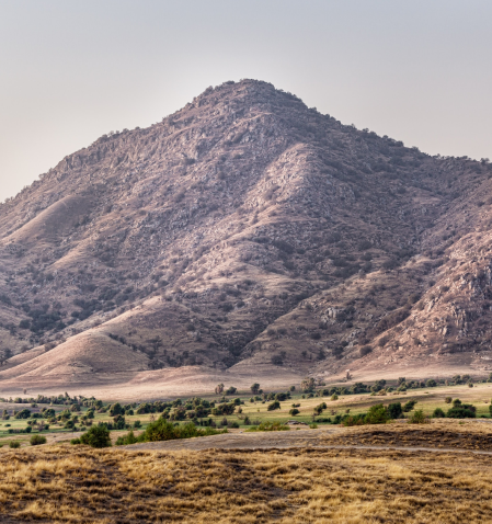 About | Freestone Renewables